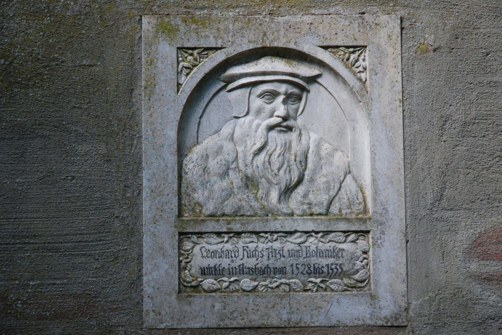 Leonhart-Fuchs-Relief – fränkischer.de
